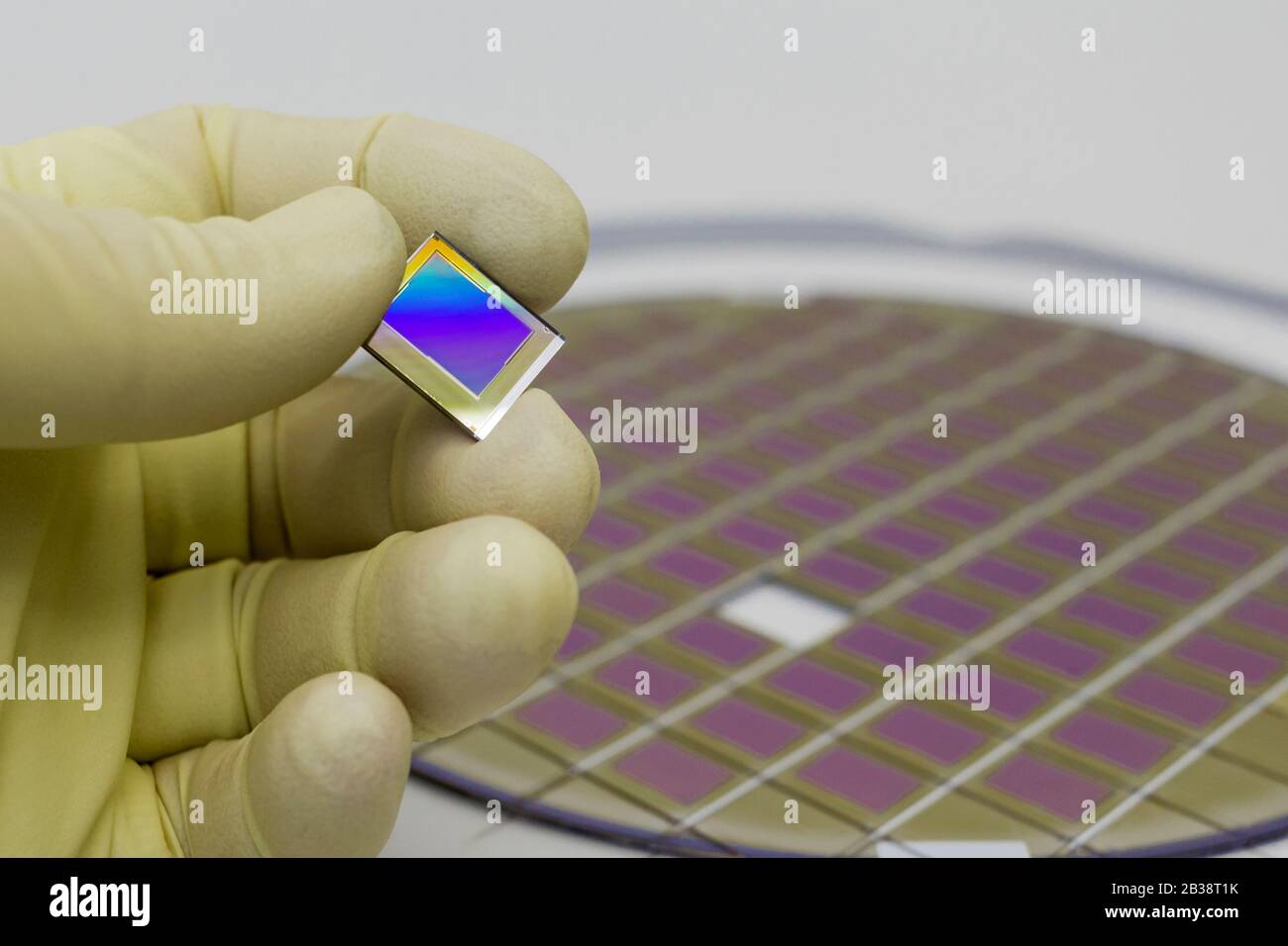 Silicon wafer with microchips, fixed in a holder with a steel frame on ...
