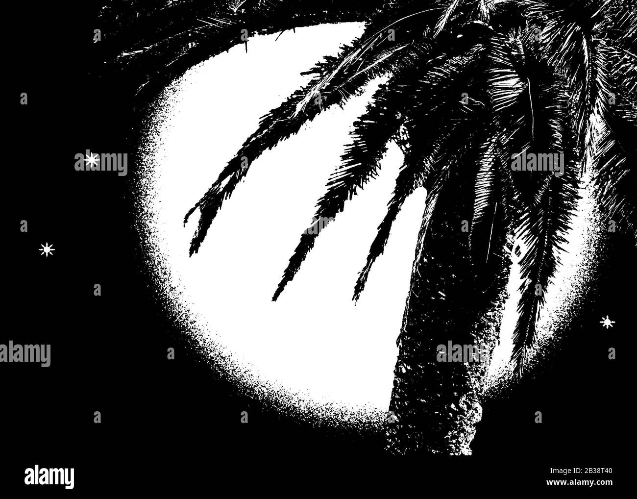 Tropical or summer concept moonscape illustration background with plam ...