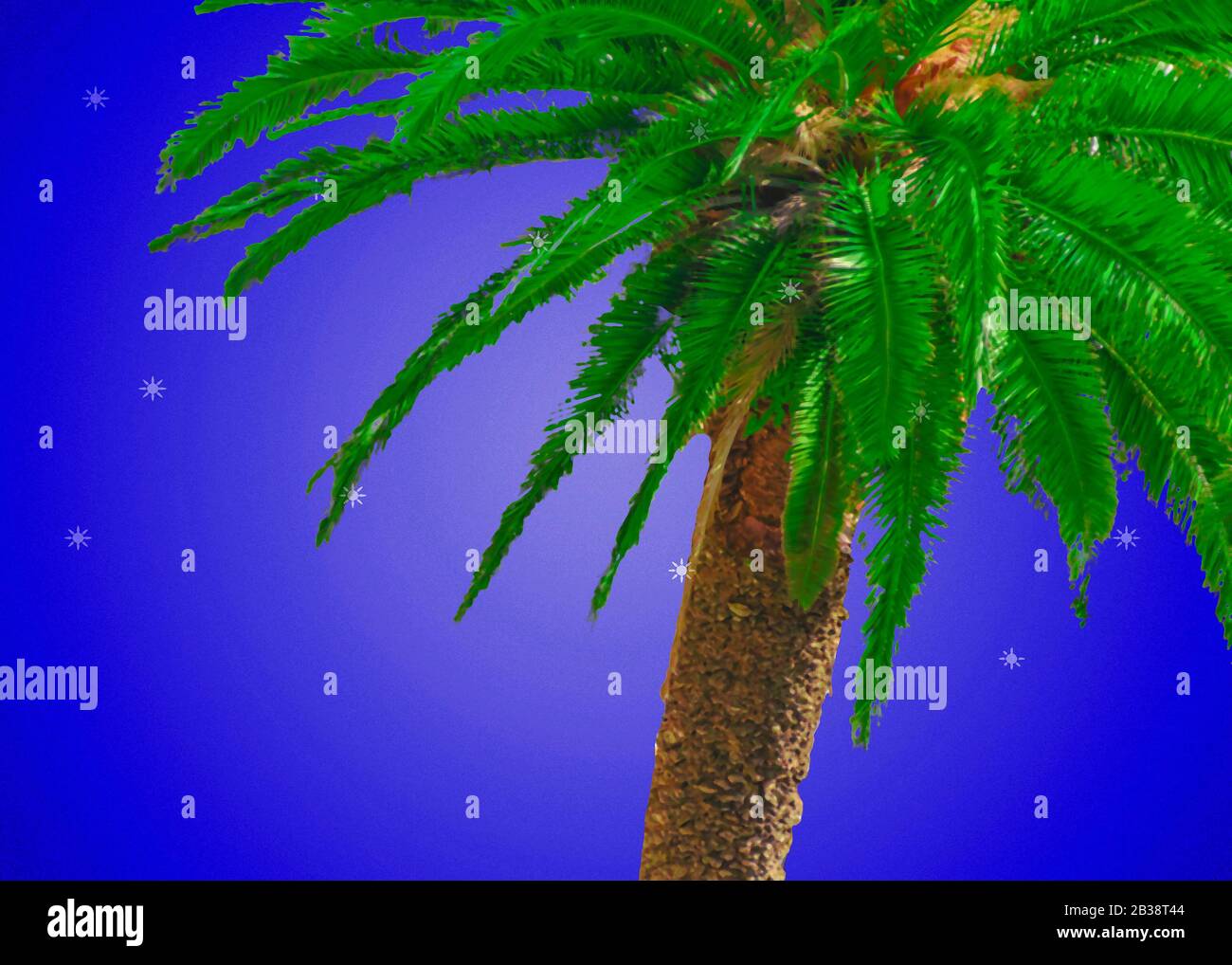 Tropical or summer concept illustration background with plam tree over ...