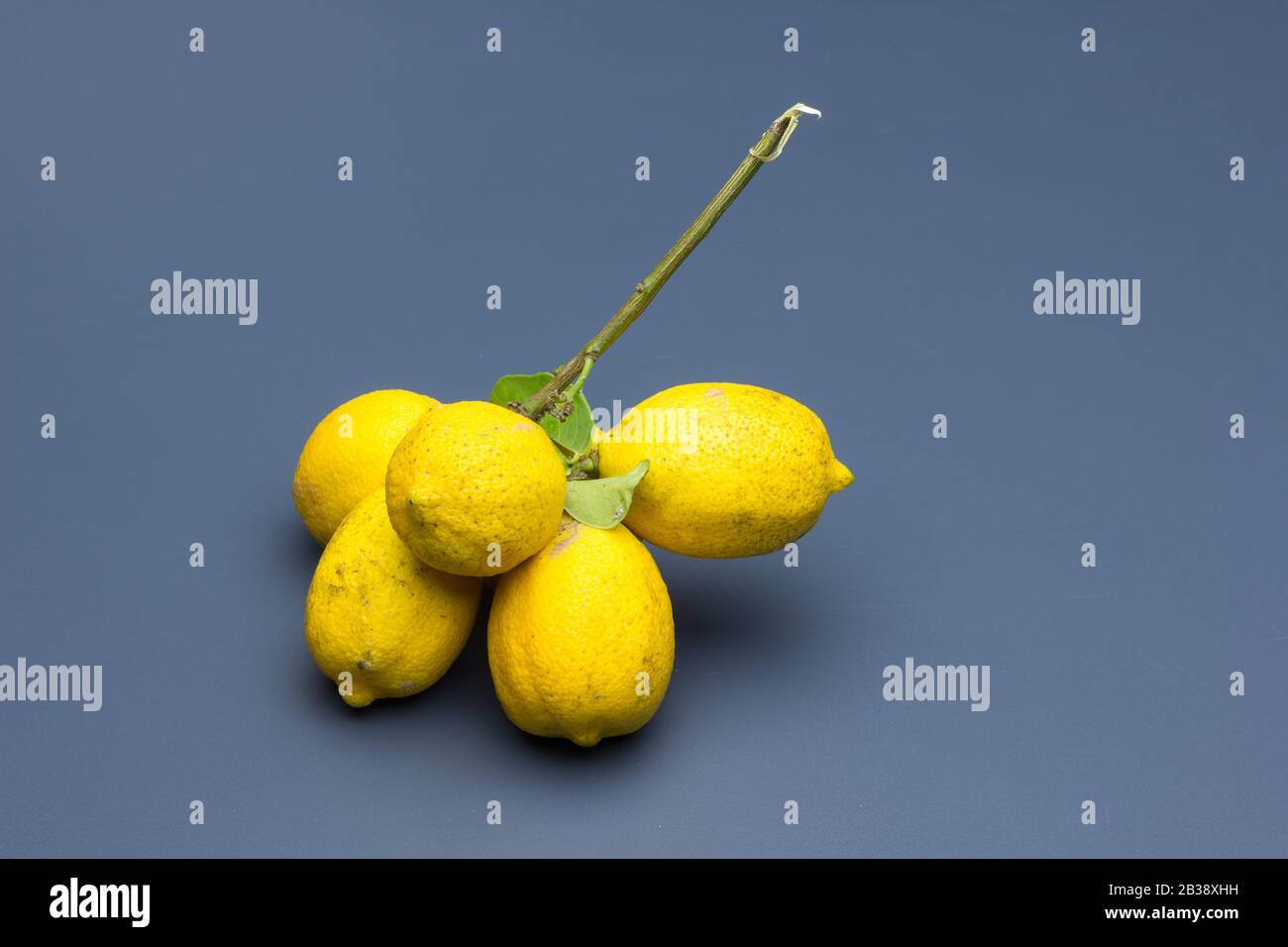 Lemon is a citrus fruit with yellow skin, with an acidic flavor from ...
