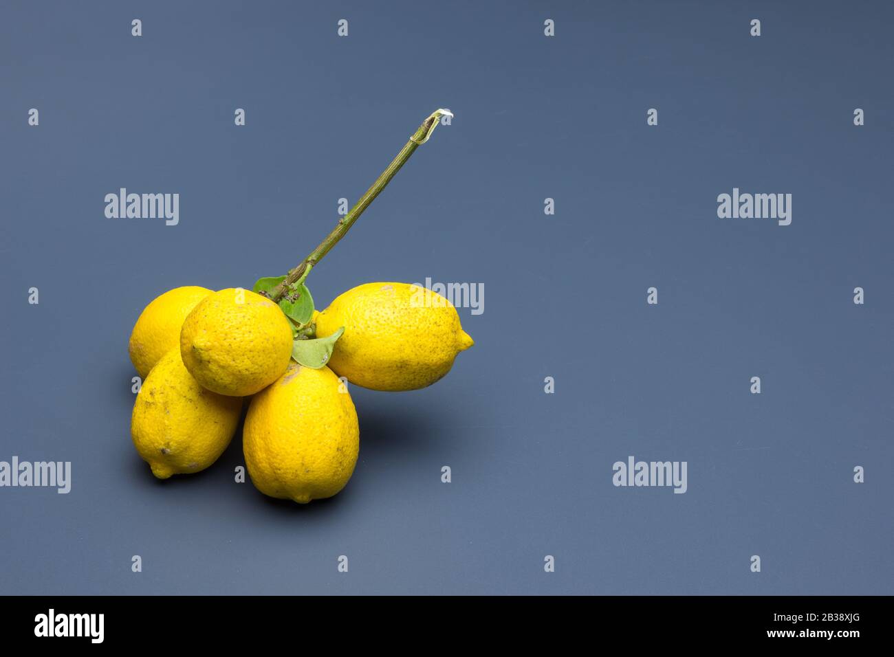 Lemon is a citrus fruit with yellow skin, with an acidic flavor from ...