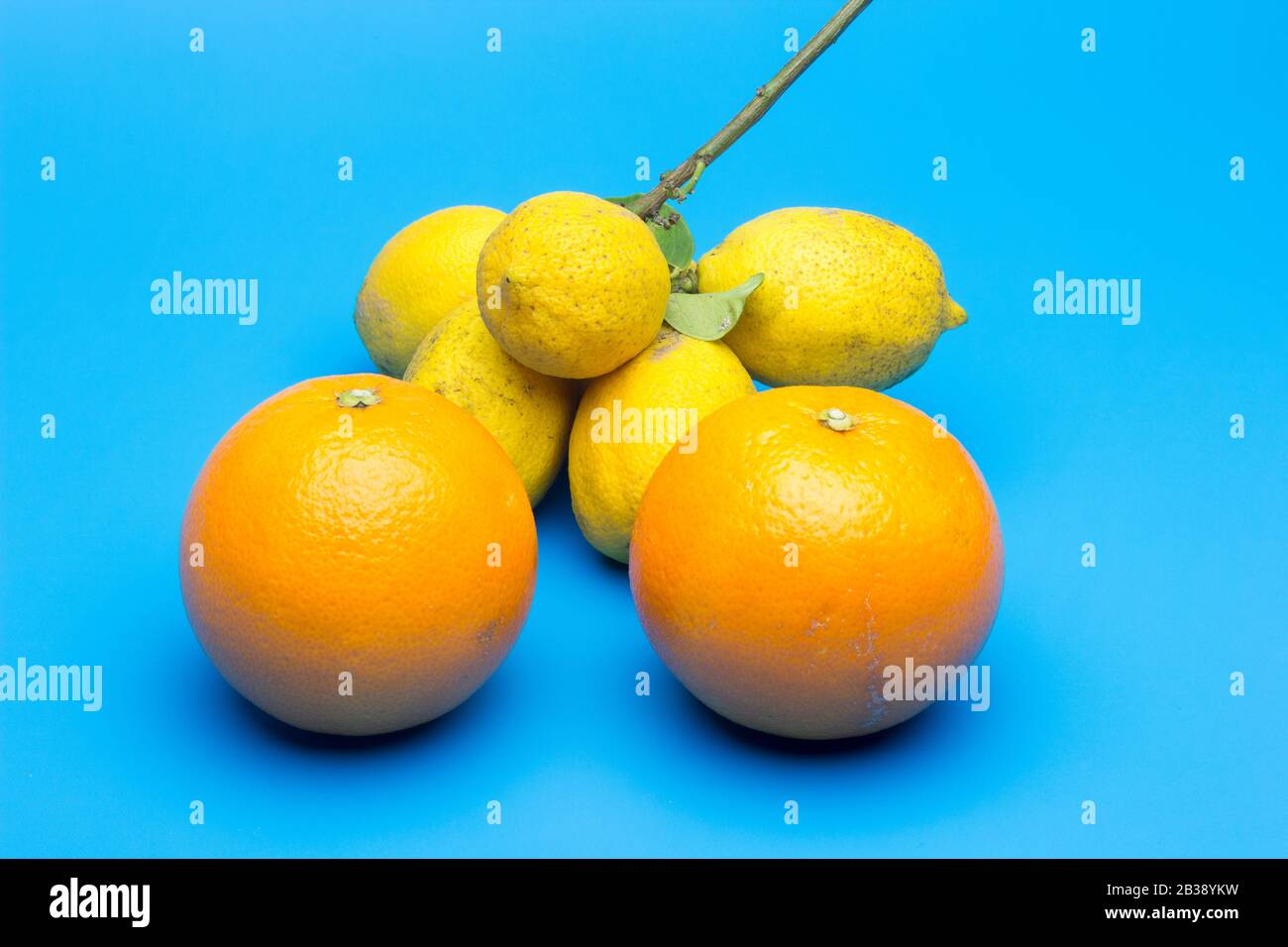 Citrus fruits, oranges and lemons, orange peel oranges and lemon peel ...