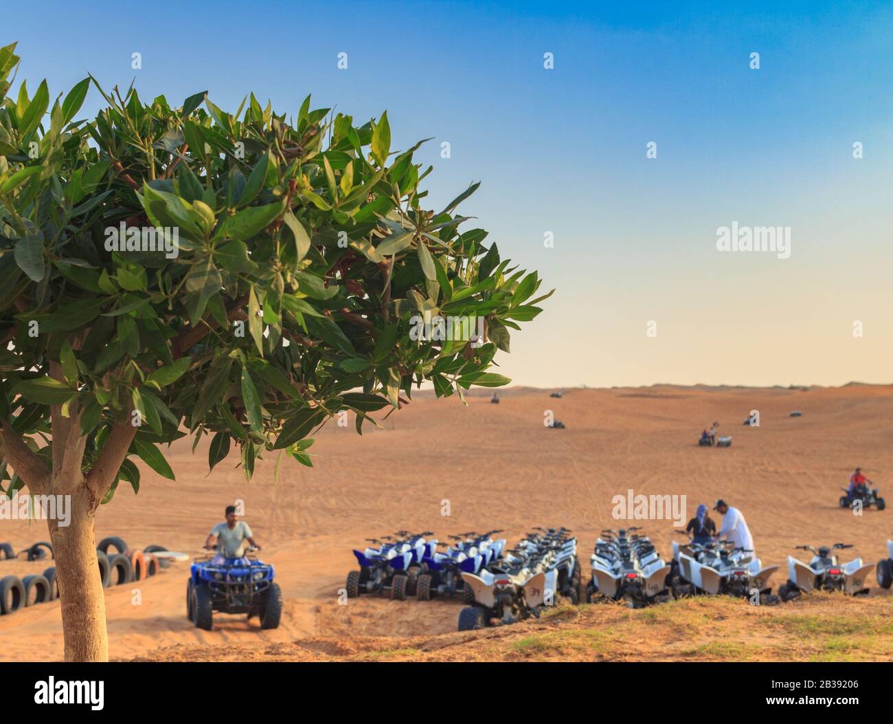 Quad motorbike safari in Dubai desert, UAE Stock Photo - Alamy