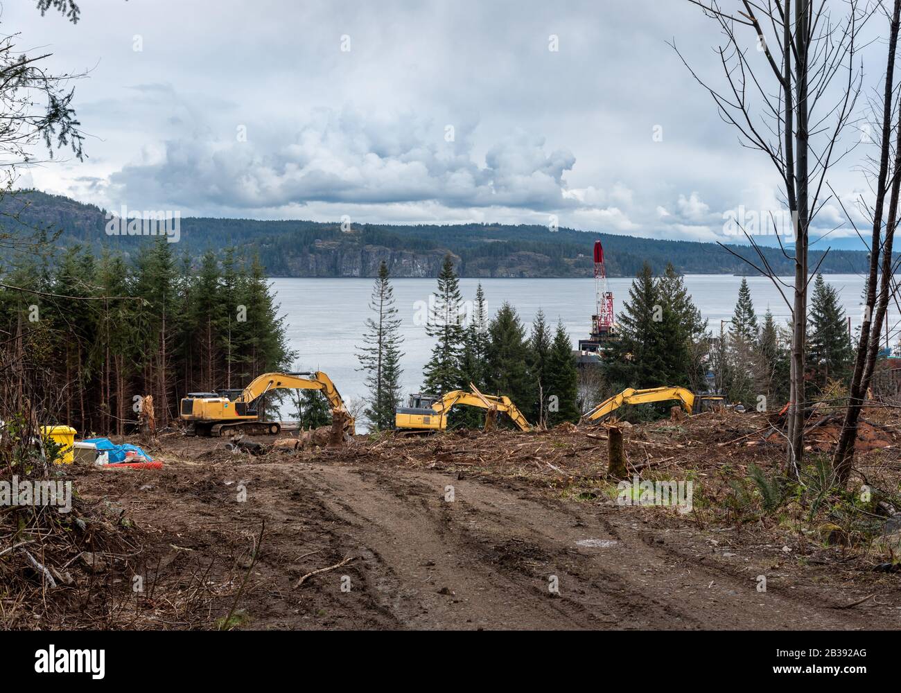 Habitat loss deforestation hi-res stock photography and images - Alamy