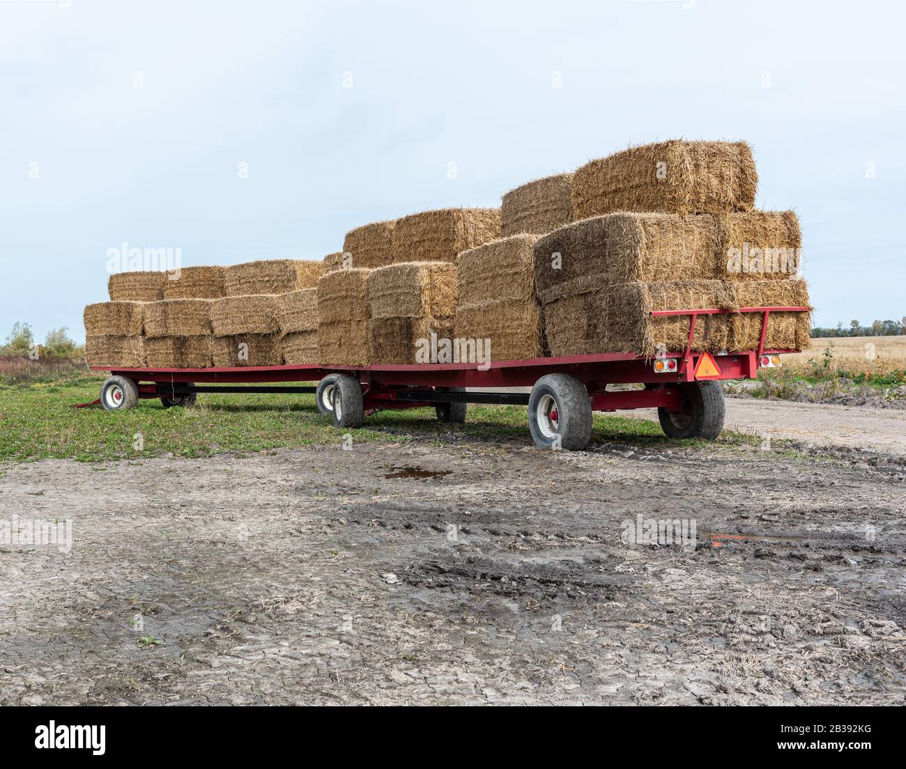 Large straw bales for sale hi-res stock photography and images - Alamy