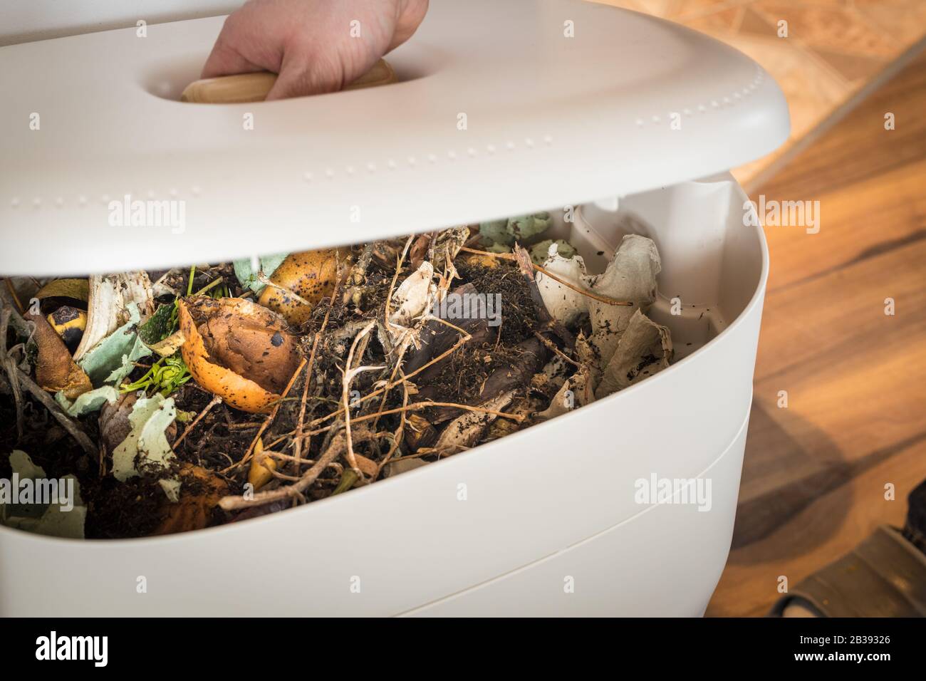 worm farm, composter. Eco-friendly home disposal of biodegradable waste ...