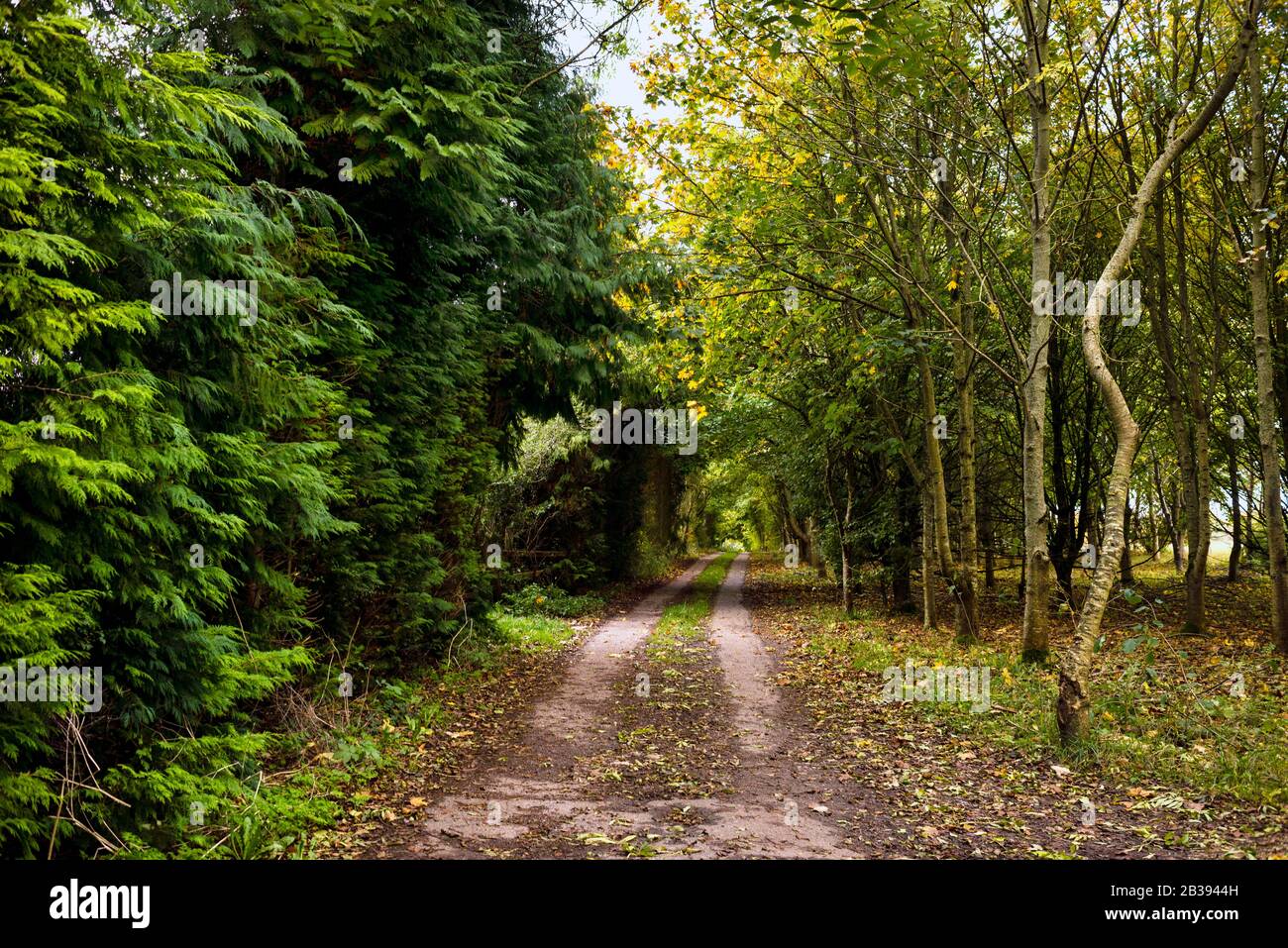 Public walking paths connect one town to the next throughout England ...