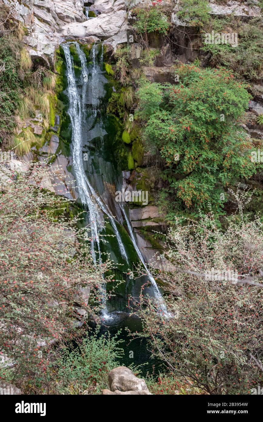 View of a complete waterfall in a forest Stock Photo - Alamy