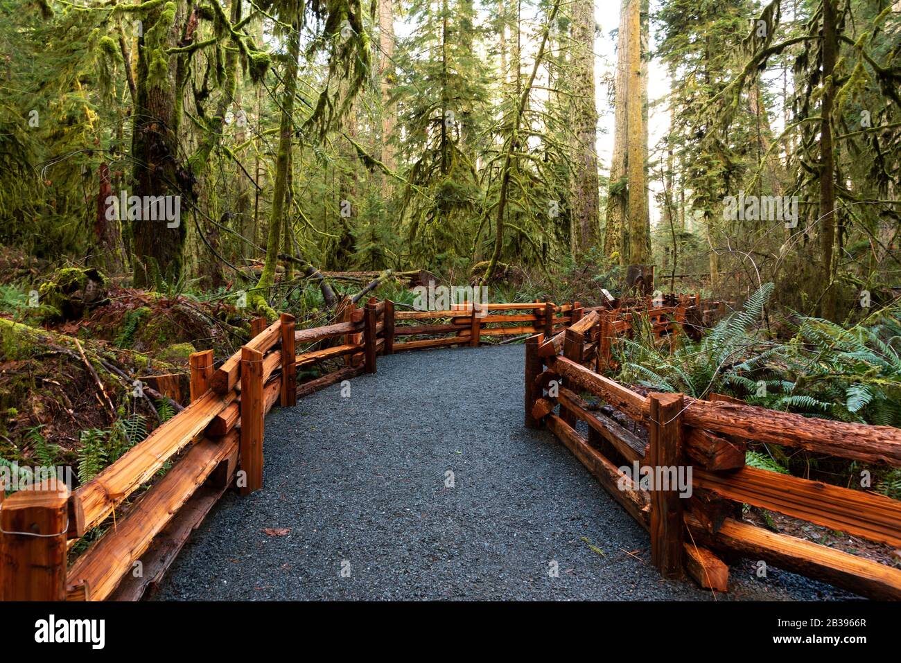 Cedar fence posts hi-res stock photography and images - Alamy