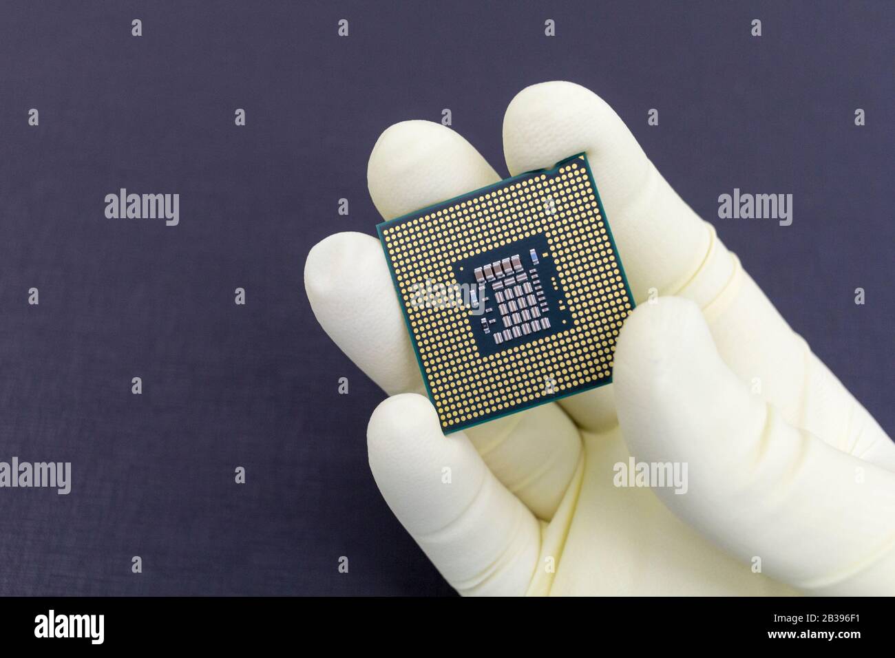 Hand in tight yellow glove holding a CPU computer processor microchip ...
