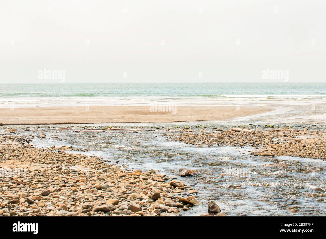 Oswald west state park hi-res stock photography and images - Alamy