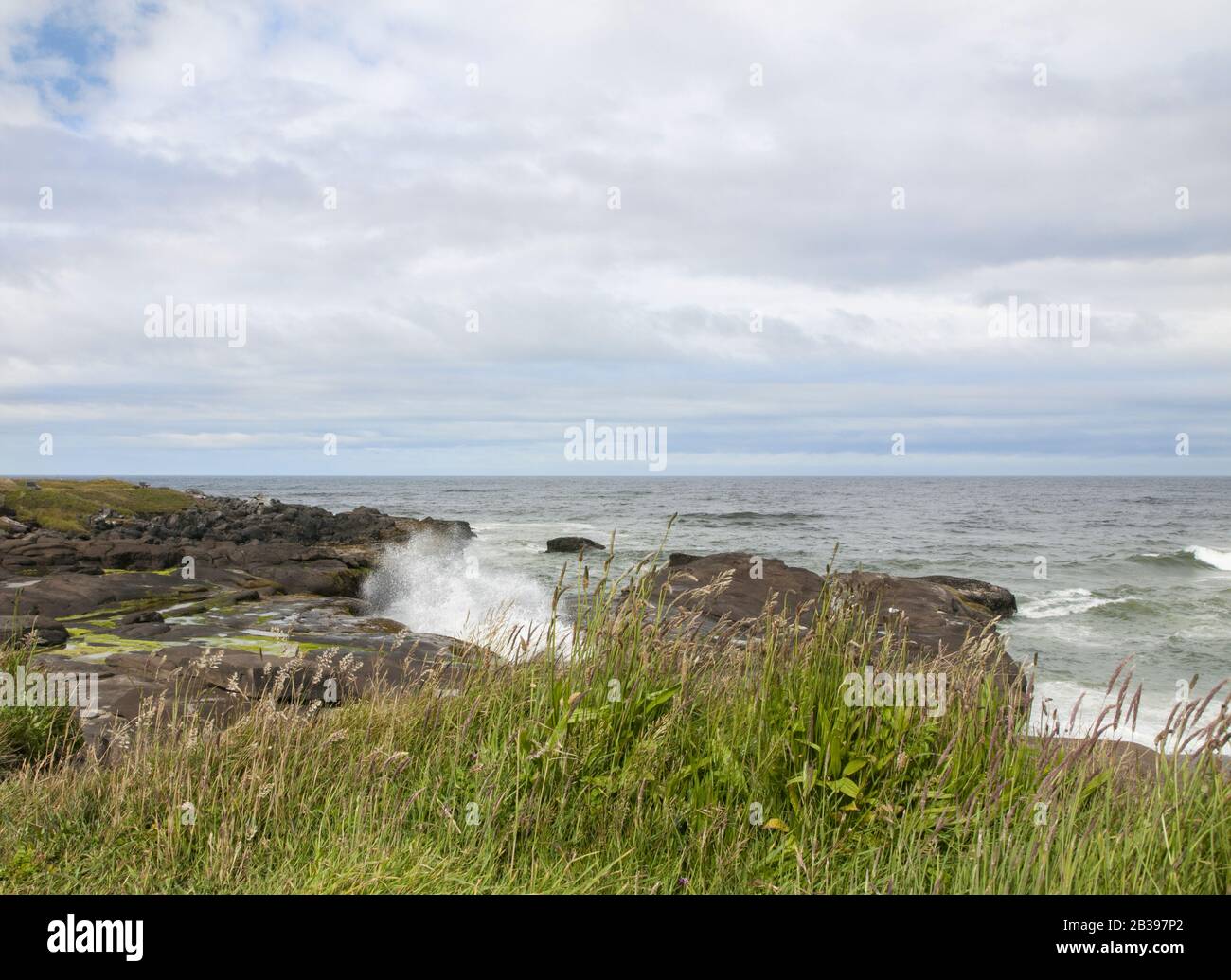 Pacific coast. Rocky shoreline with waves breaking on the rocks ...