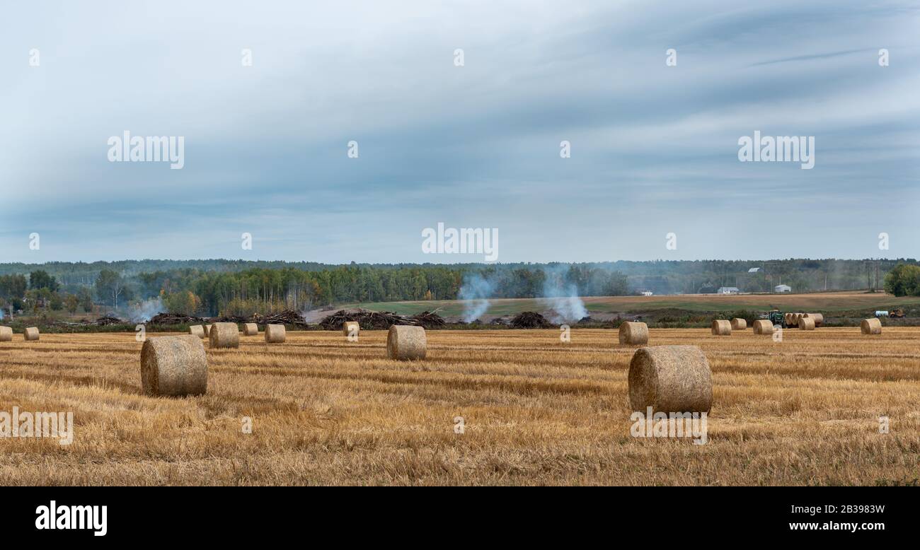 Land clearing hi-res stock photography and images - Alamy