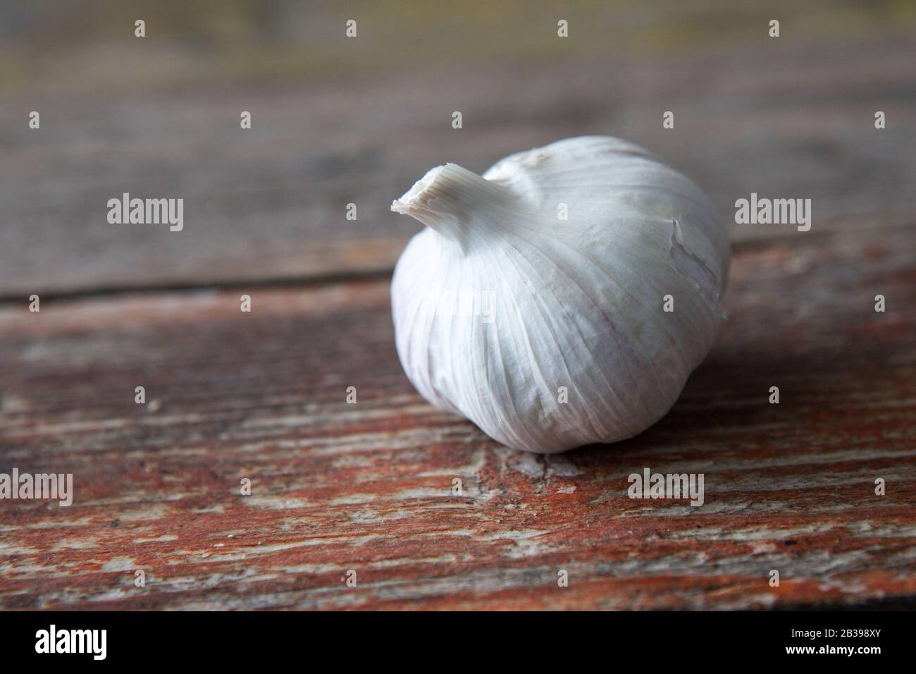 Organic Garlic Bulb cloce up Stock Photo - Alamy