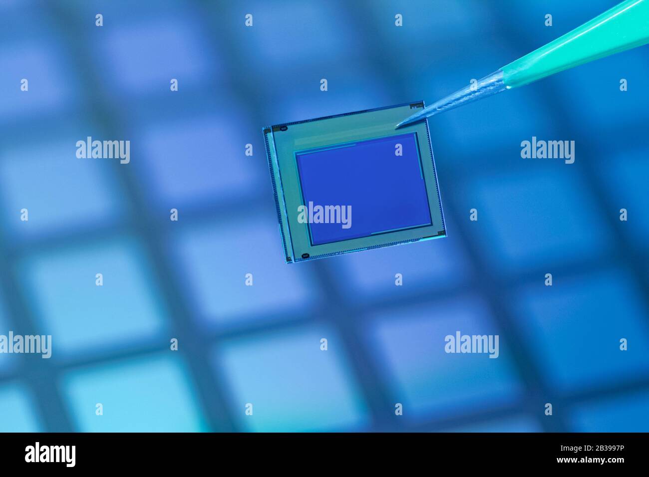 Holding microchip with pair of tweezers. Matrix sensor . Photo video ...