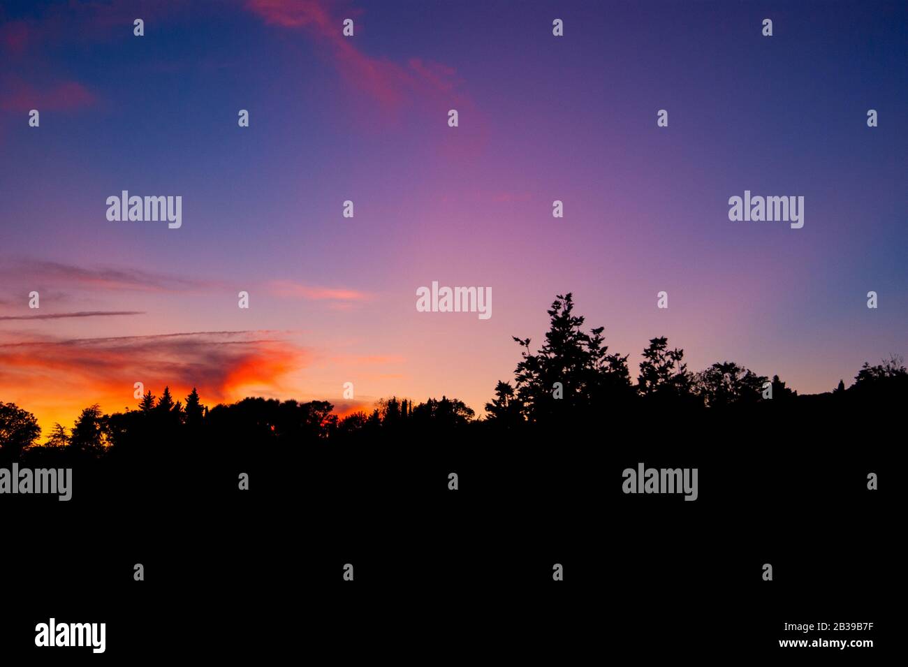 Purple sunset over black trees. Horizontal photo Stock Photo - Alamy