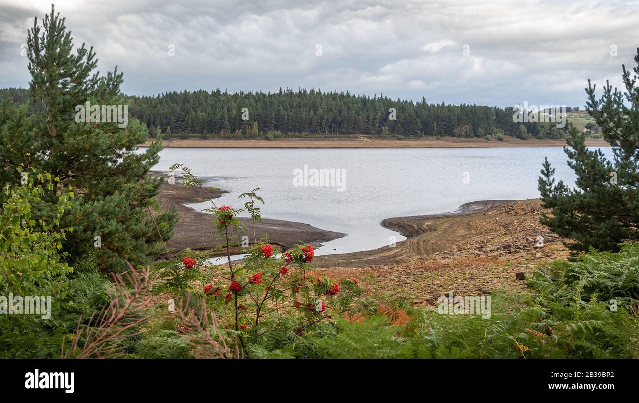 Langsett reservoir low on water Stock Photo - Alamy