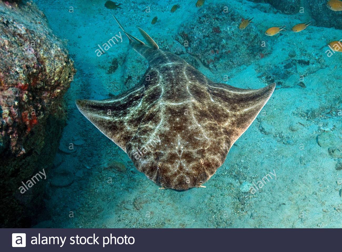 Isole Canarie High Resolution Stock Photography and Images - Alamy