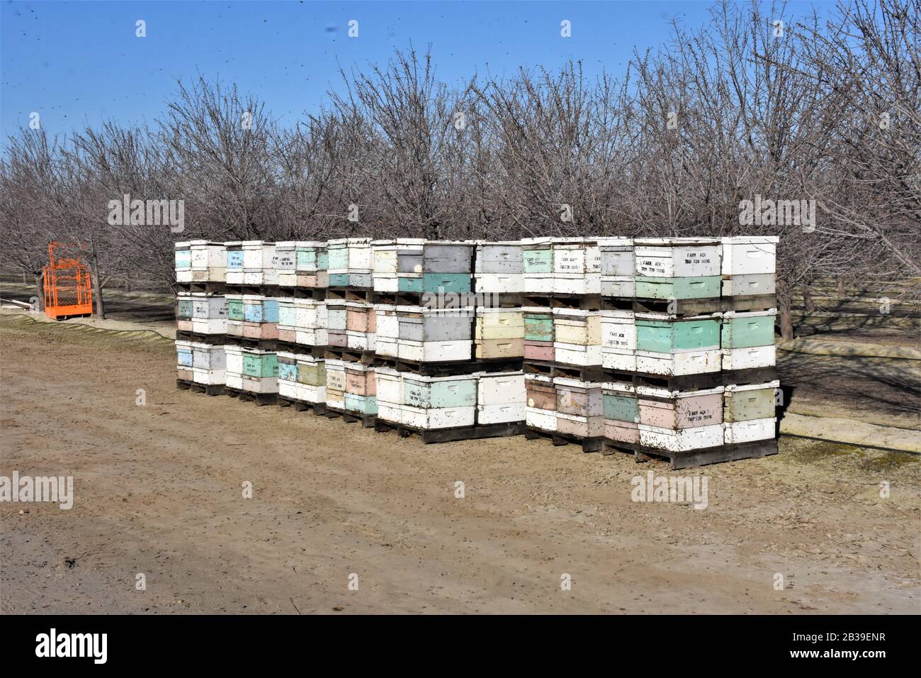 Bee hives for pollination hi-res stock photography and images - Alamy