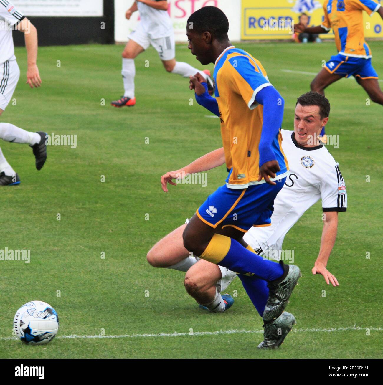 Rhyl fc versus wba and Shrewsbury credit Ian Fairbrother/Alamy stock ...