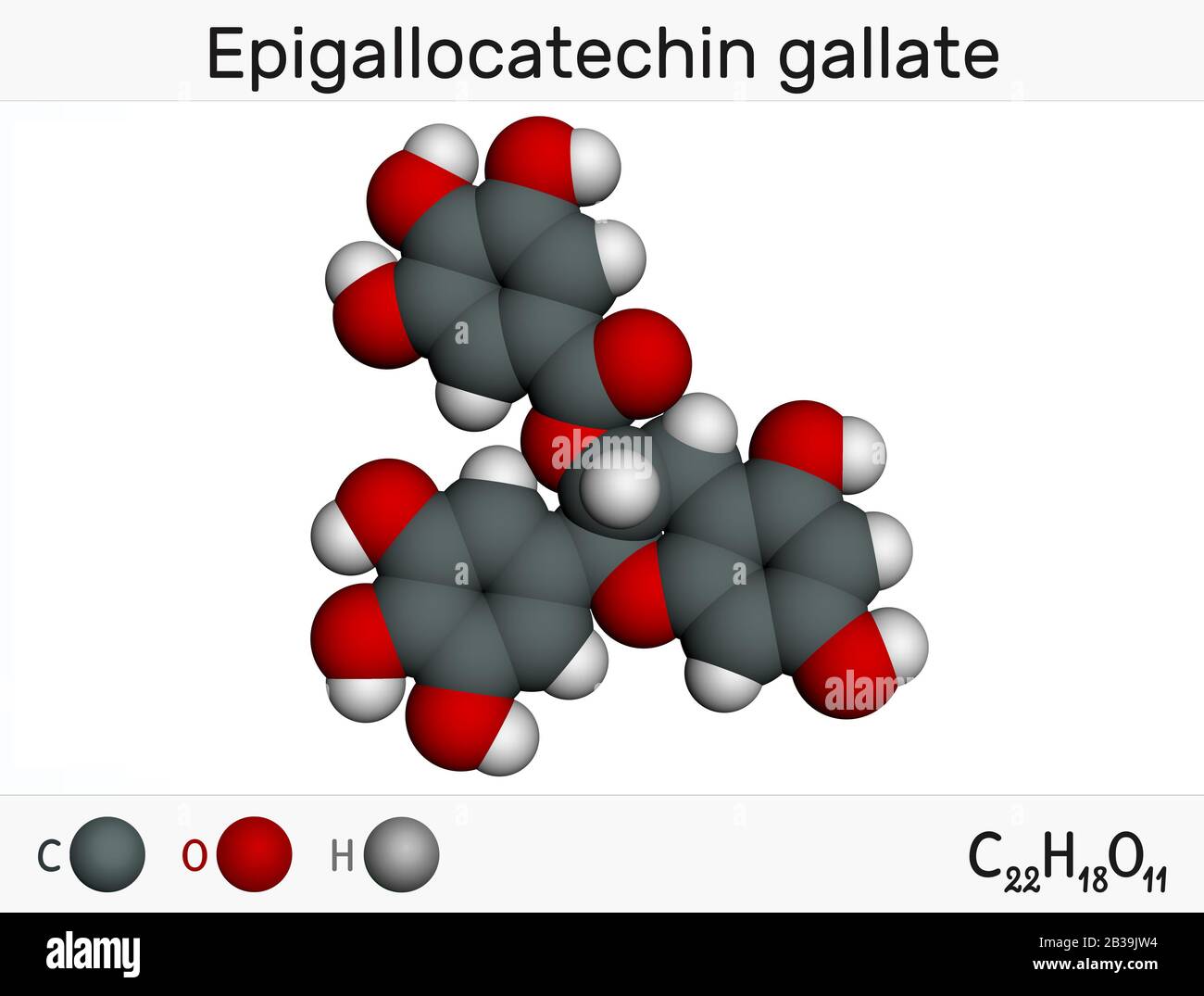 Epigallocatechin gallate EGCG , is the most abundant catechin in tea ...