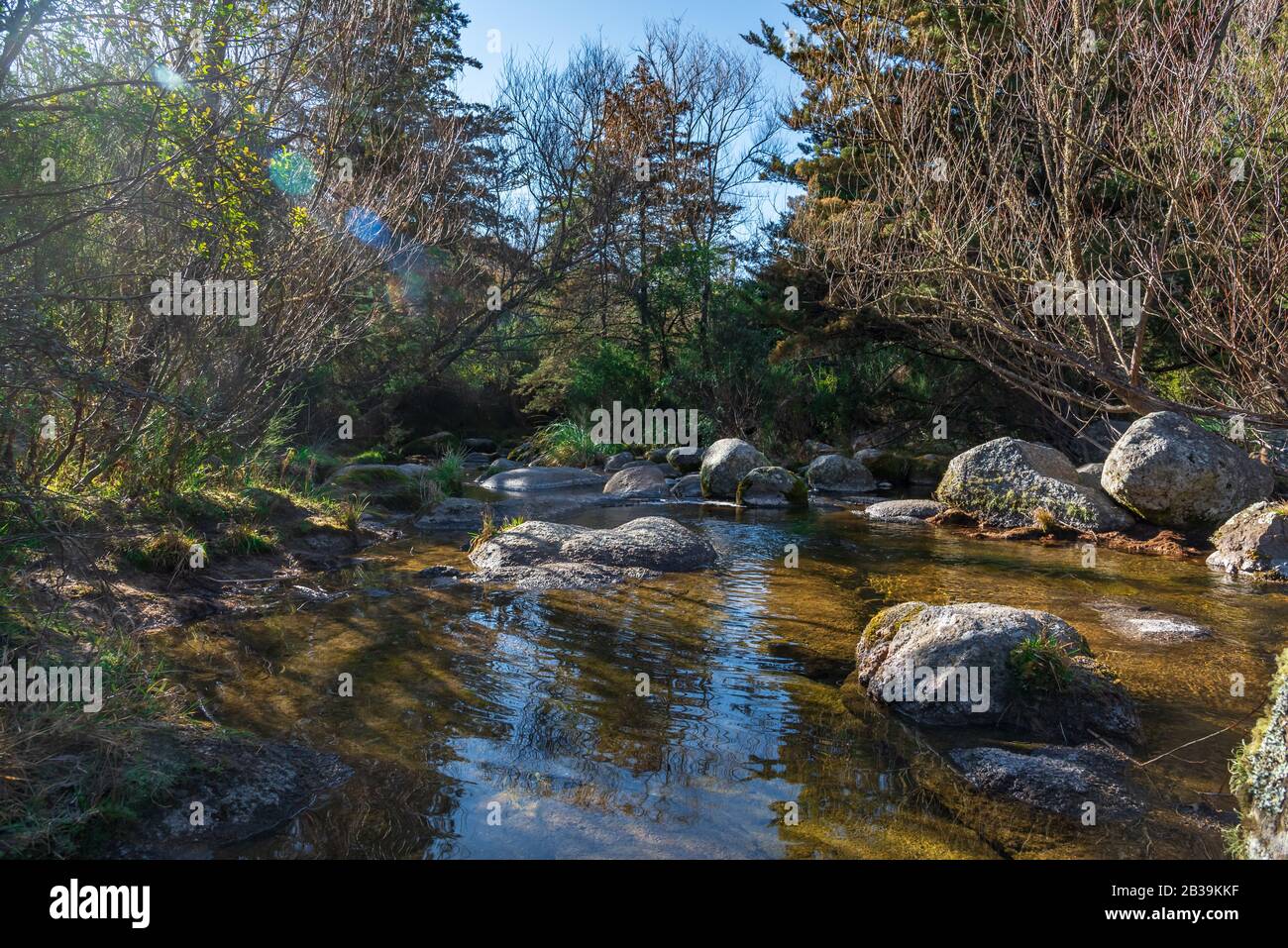 Panoramic view of a little lake down a valley, with a mountain full of ...