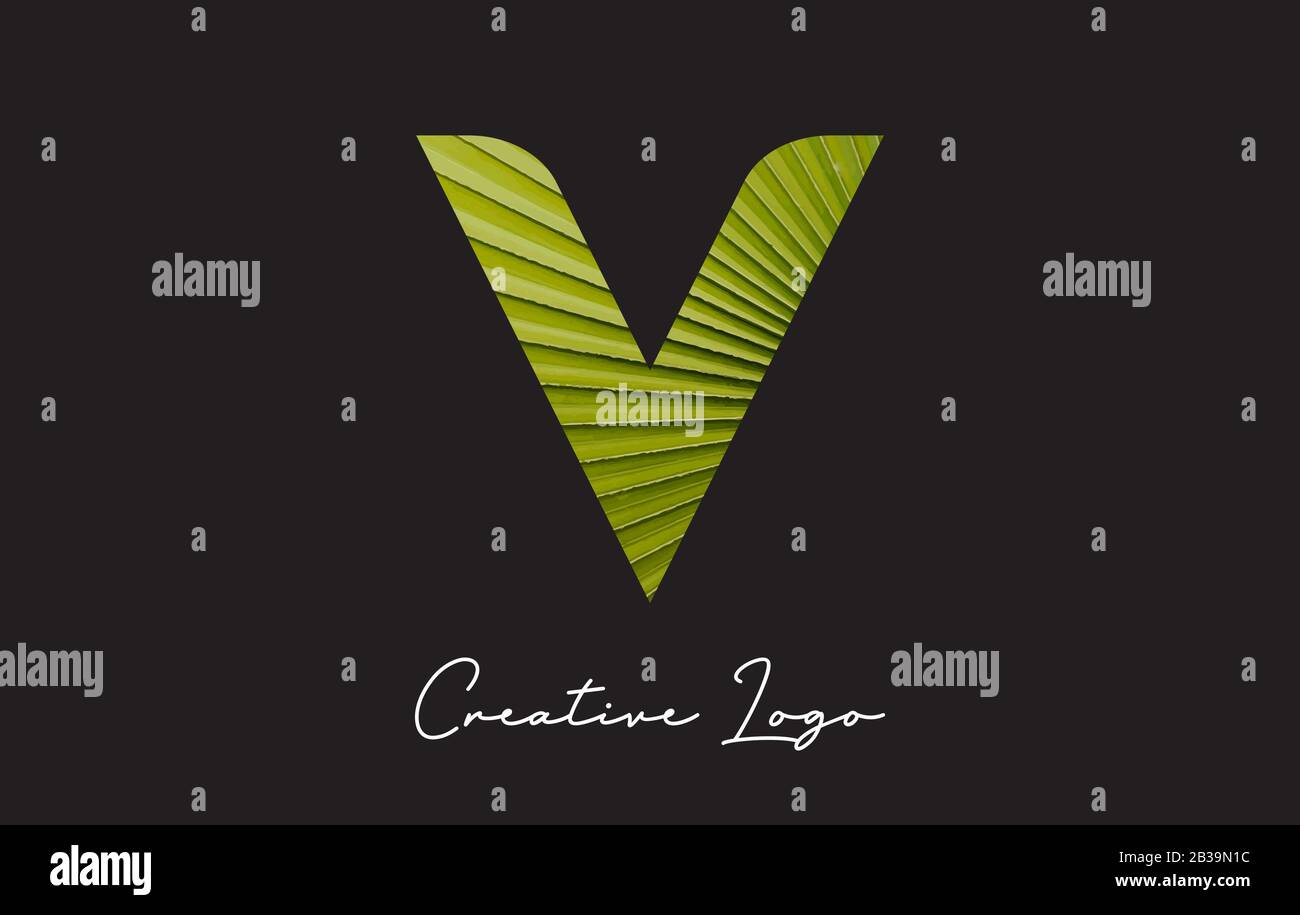 V shape tree Stock Vector Images - Alamy