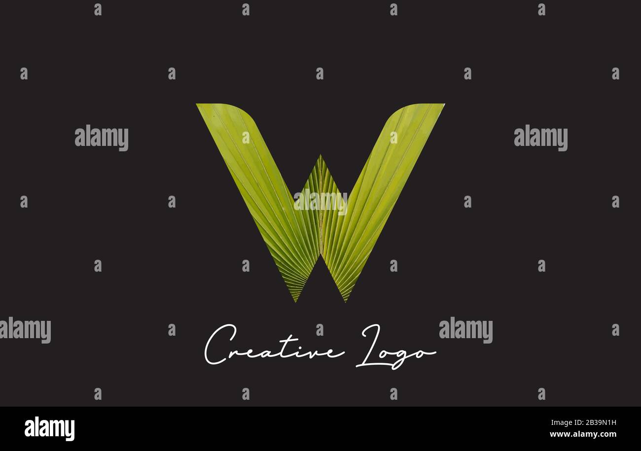 W Letter Logo with Palm Tree Leaf Pattern Design Vector Illustration ...