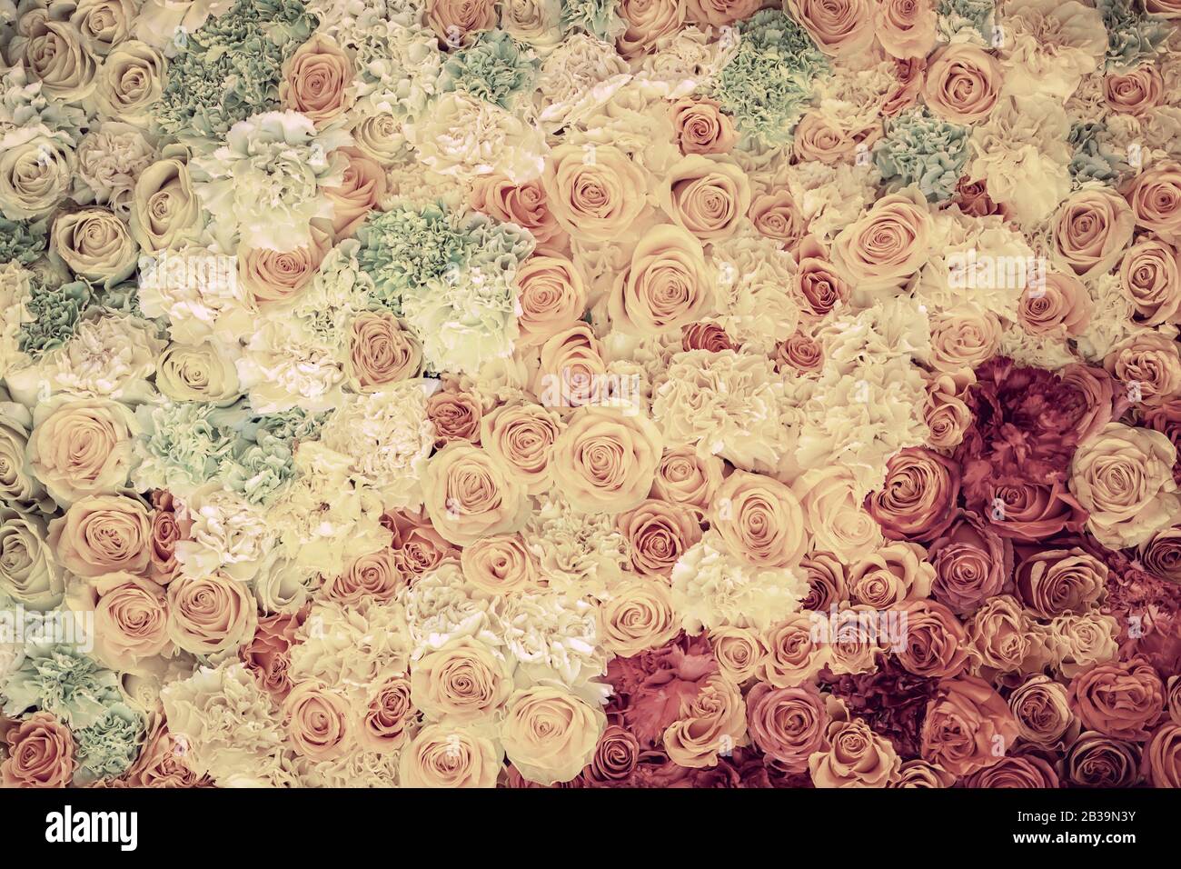 Texture of colorful natural hand made romantic wall background, pale ...