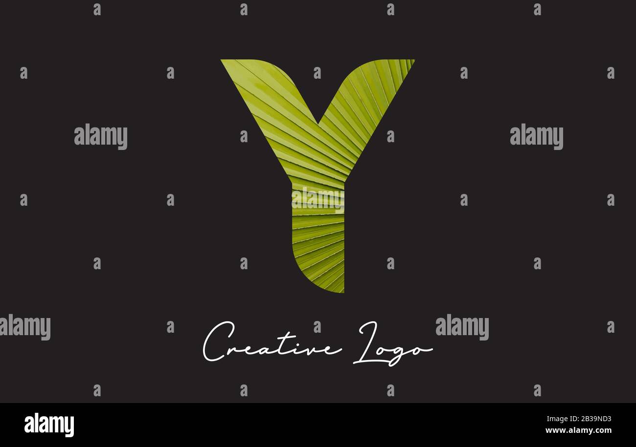 Y Letter Logo with Palm Tree Leaf Pattern Design Vector Illustration ...