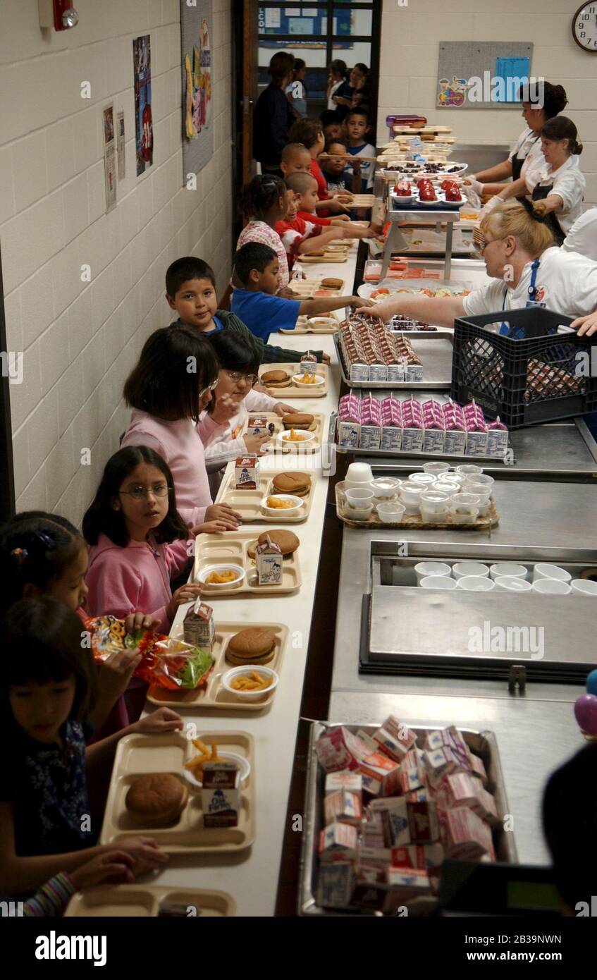 Healthy School Lunch Program
