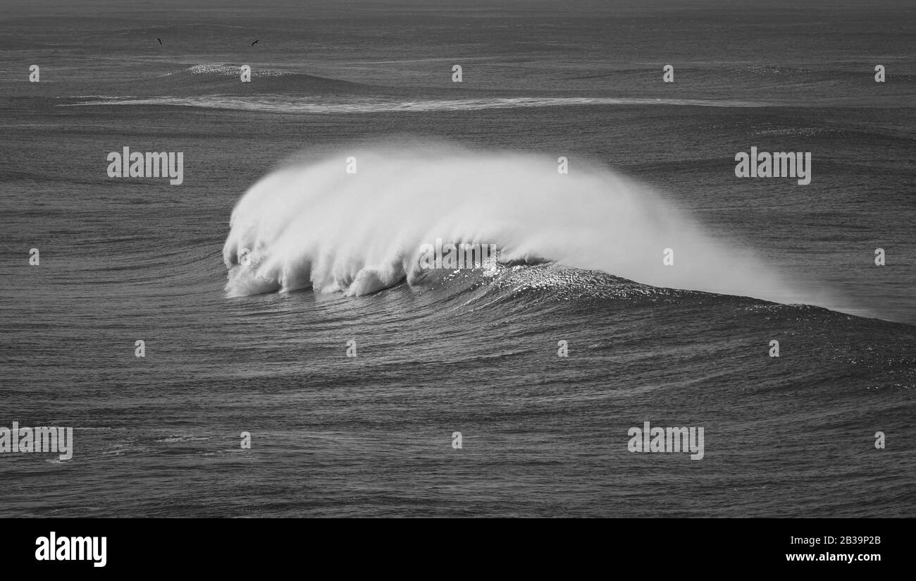 Ocean big wave Black and White Stock Photos & Images - Alamy