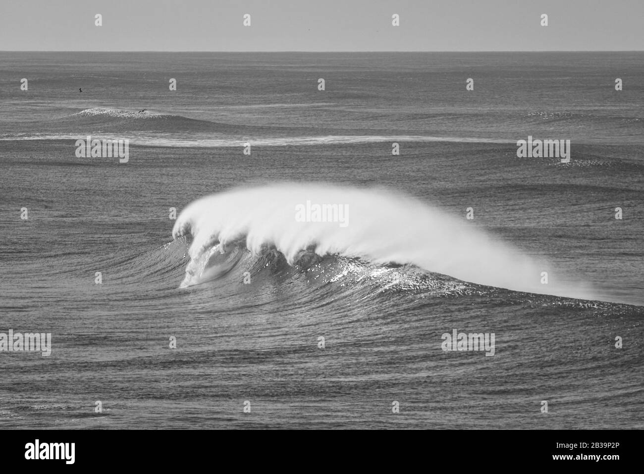 Ireland surfing big wave hi-res stock photography and images - Alamy