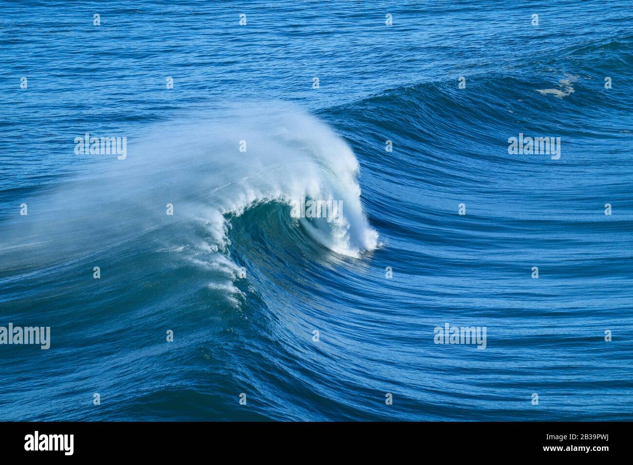 Perfect wave breaking perfectly in Nazare Portugal Stock Photo - Alamy