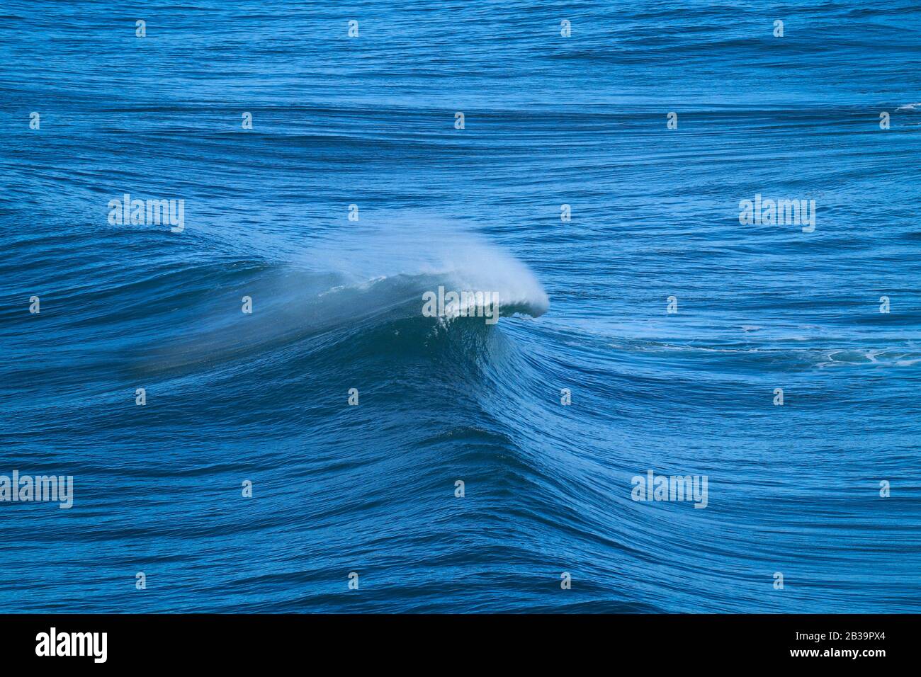 Perfect wave breaking perfectly in Nazare Portugal Stock Photo - Alamy