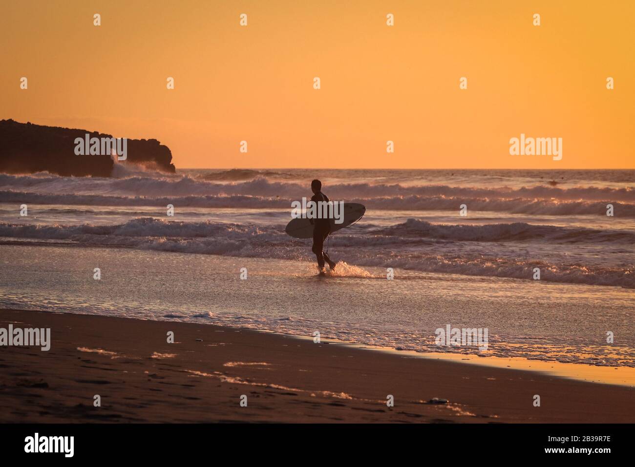 Group of surfers going to surf in the ocean at the sunset Stock Photo ...