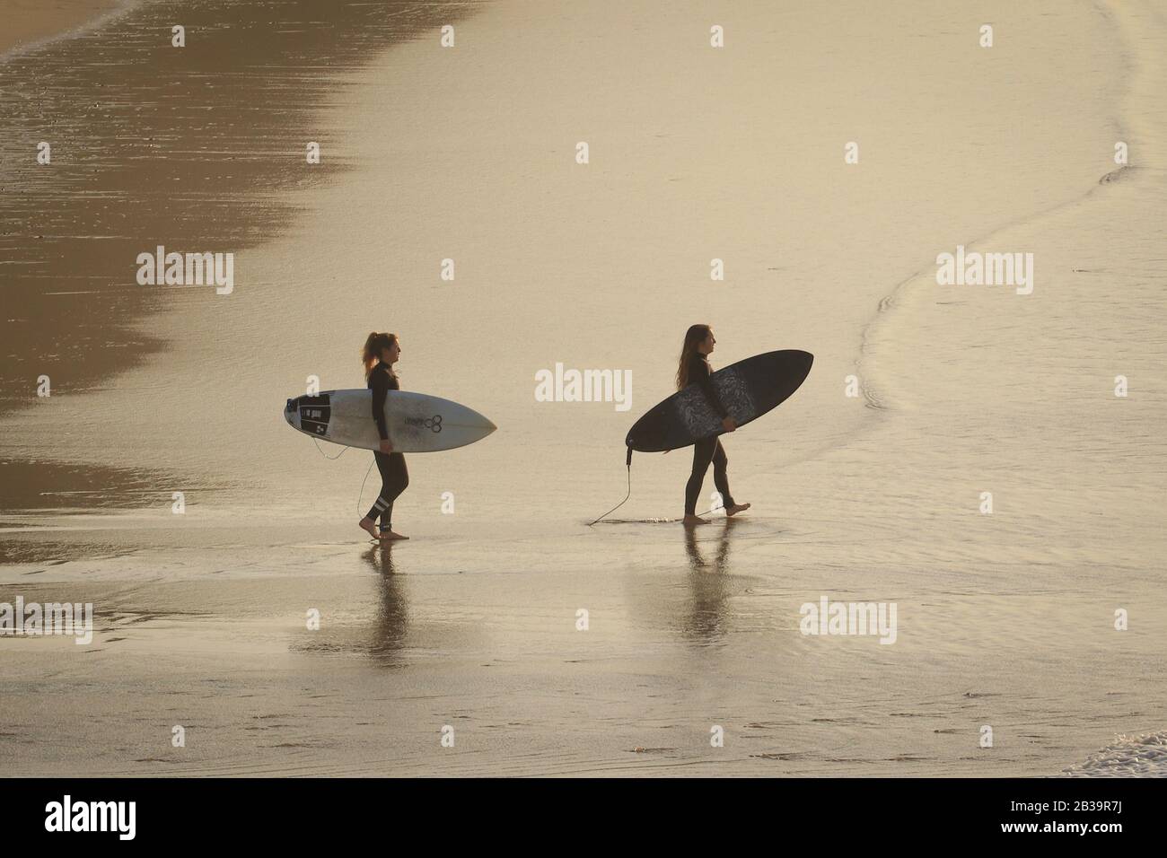 Group of surfers going to surf in the ocean at the sunset Stock Photo ...