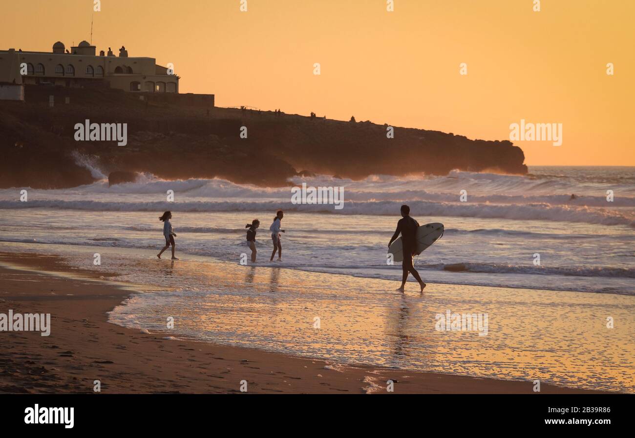 Group of surfers going to surf in the ocean at the sunset Stock Photo ...