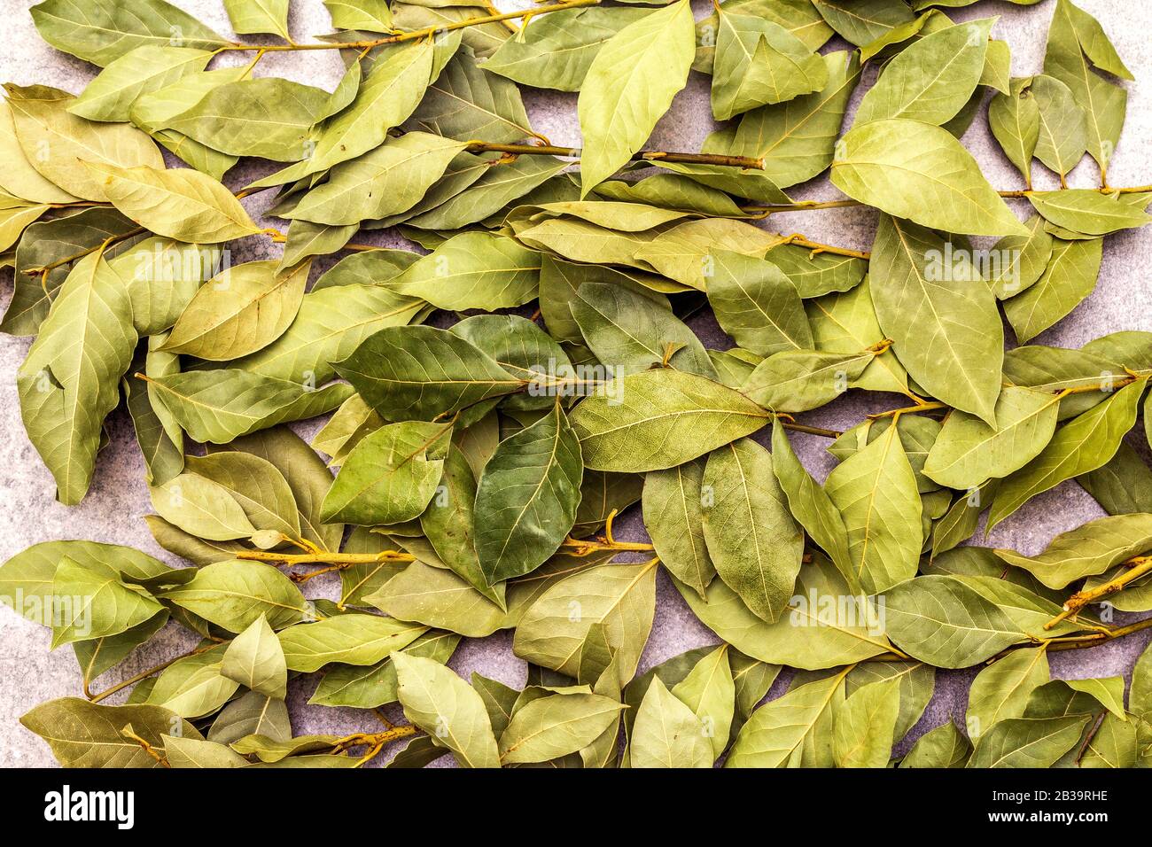 Bay leaves dried texture background, top view Stock Photo - Alamy