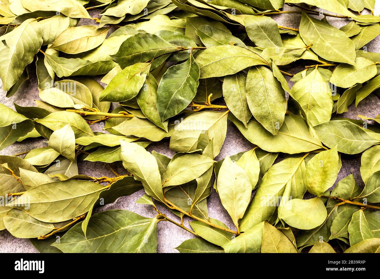 Bay leaves dried texture background Stock Photo - Alamy