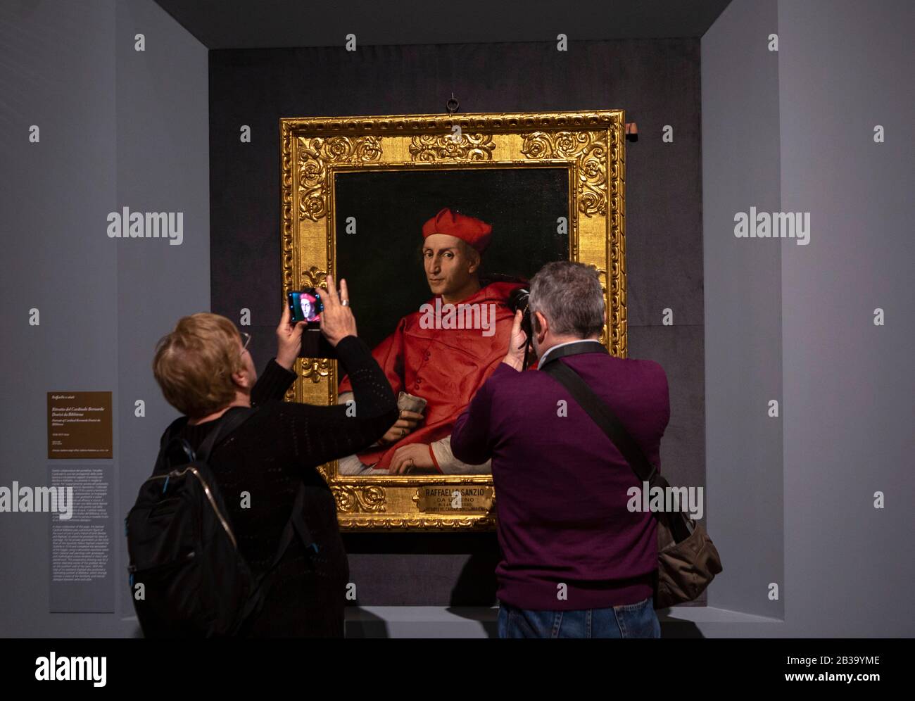 Portrait of Cardinal Bibbiena by Italian artist Raphael on display at ...