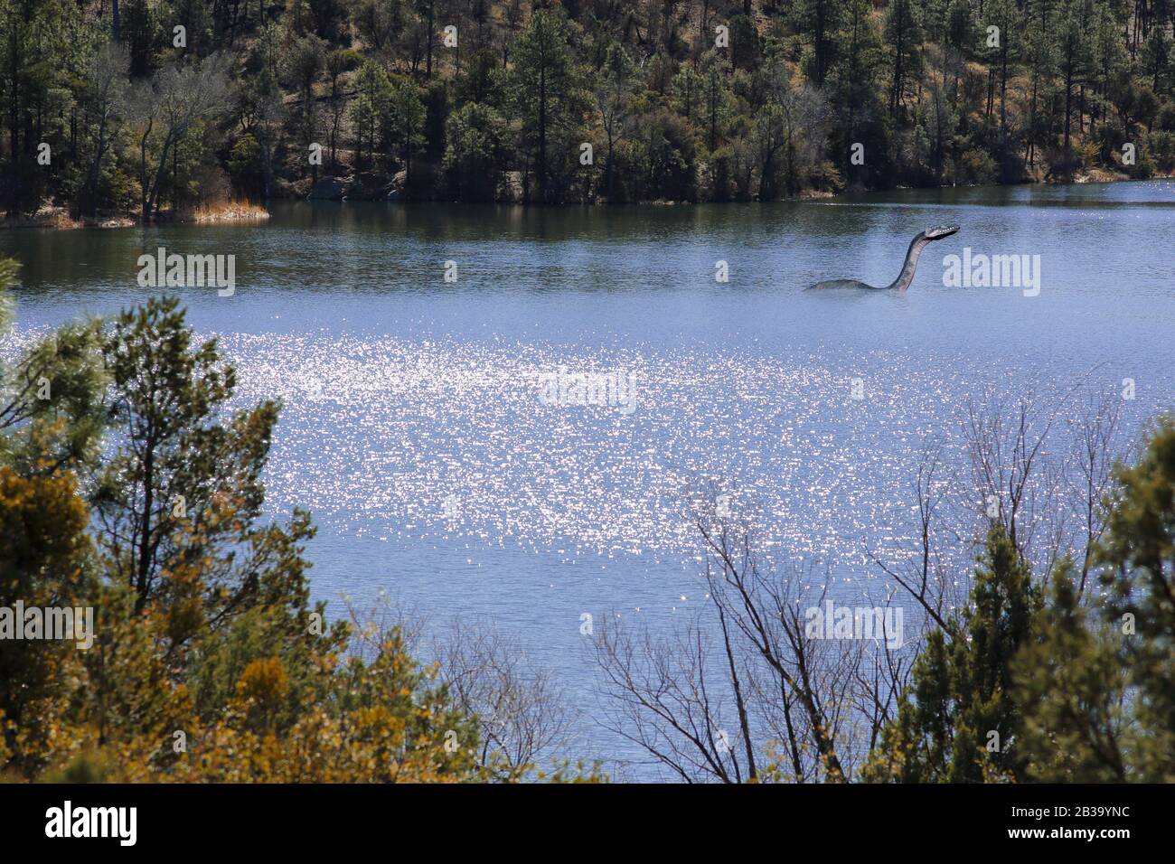 Pliosaur monster hi-res stock photography and images - Alamy