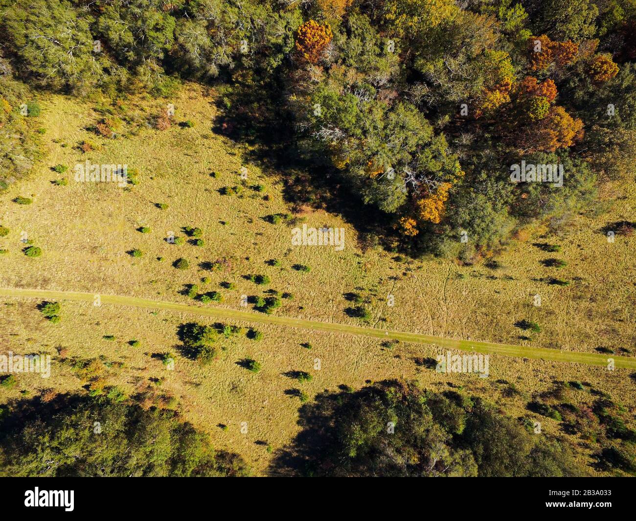 Bird's eye view of trees, trails, and fields Stock Photo - Alamy