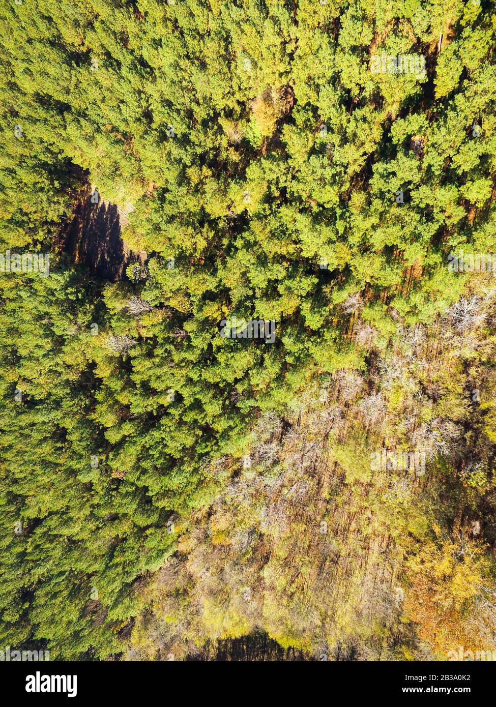 Bird's eye view of trees, trails, and fields Stock Photo - Alamy