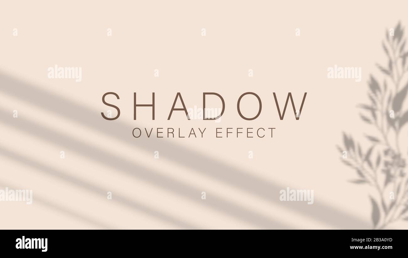 Shadow overlay effect. Transparent soft light and shadows from branches ...