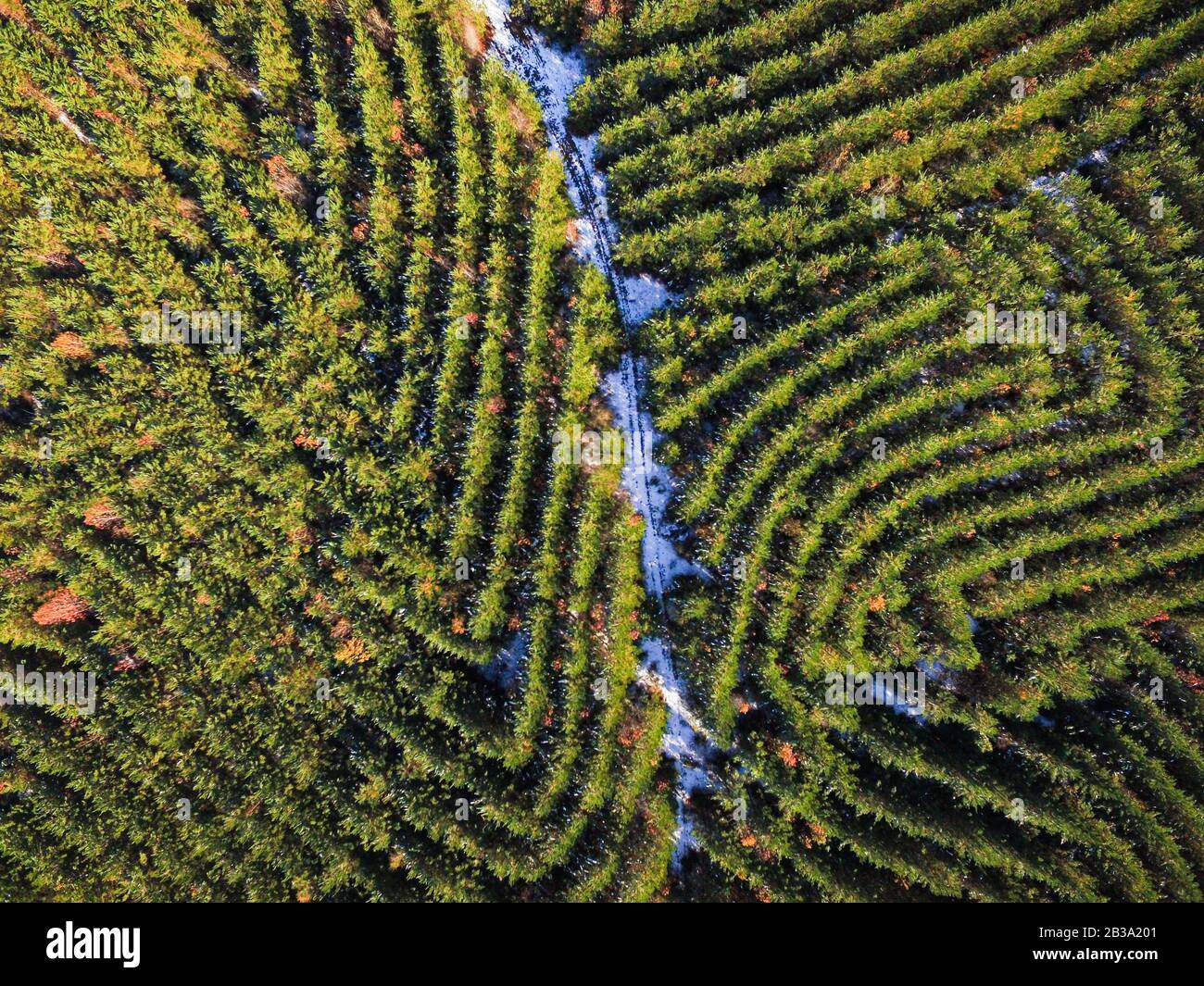 Bird's eye view of trees, trails, and fields Stock Photo - Alamy