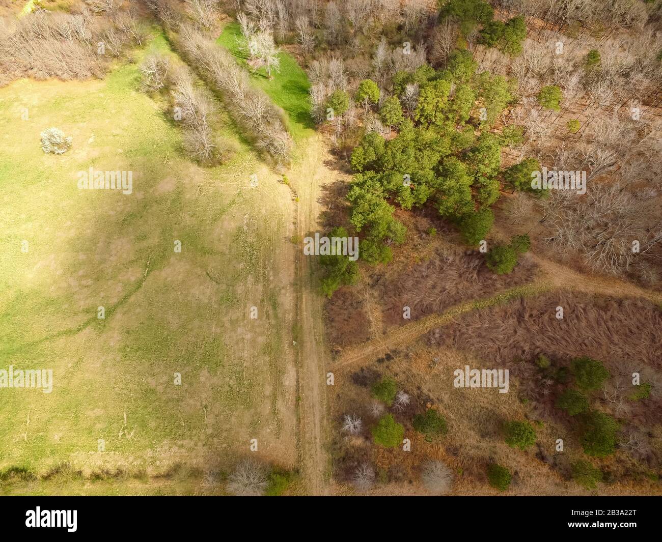 Bird's eye view of trees, trails, and fields Stock Photo - Alamy
