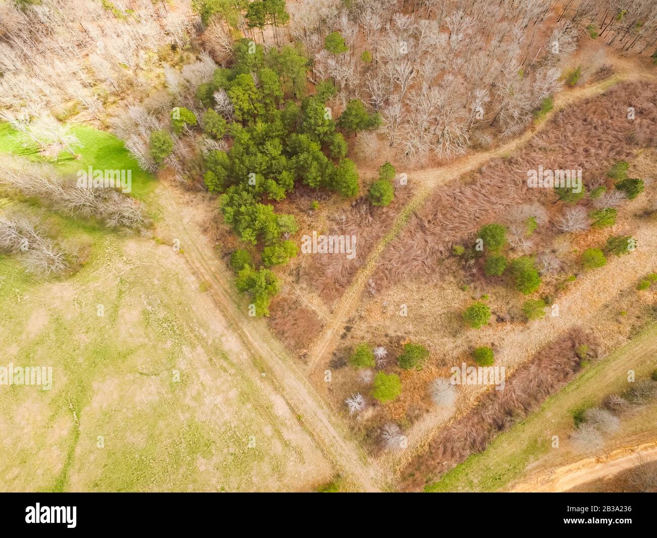 Bird's eye view of trees, trails, and fields Stock Photo - Alamy