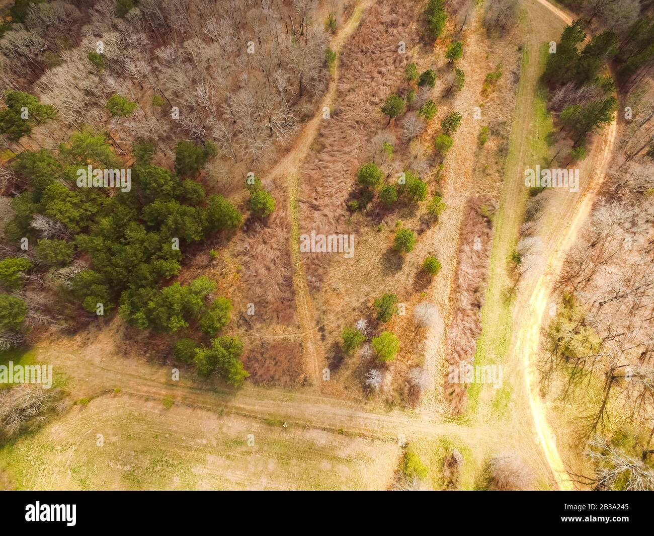 Bird's eye view of trees, trails, and fields Stock Photo - Alamy