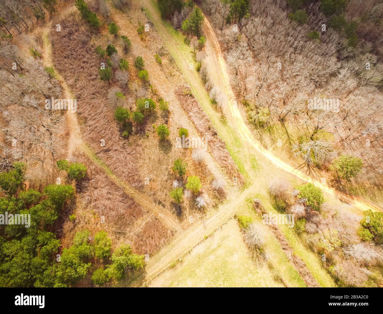 Bird's eye view of trees, trails, and fields Stock Photo - Alamy